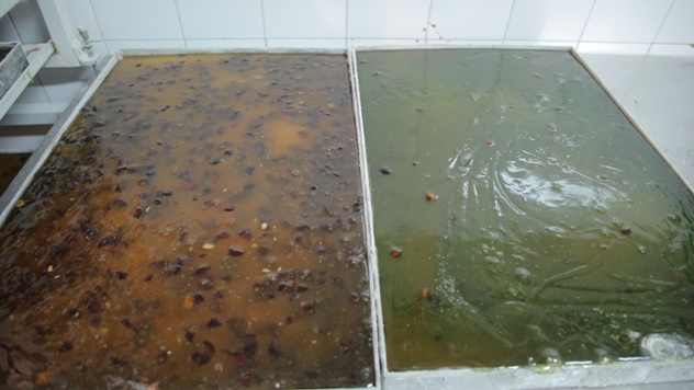 Život na selu u Srbiji, seoska imanja, uduženja i zadruge | AGROmedia