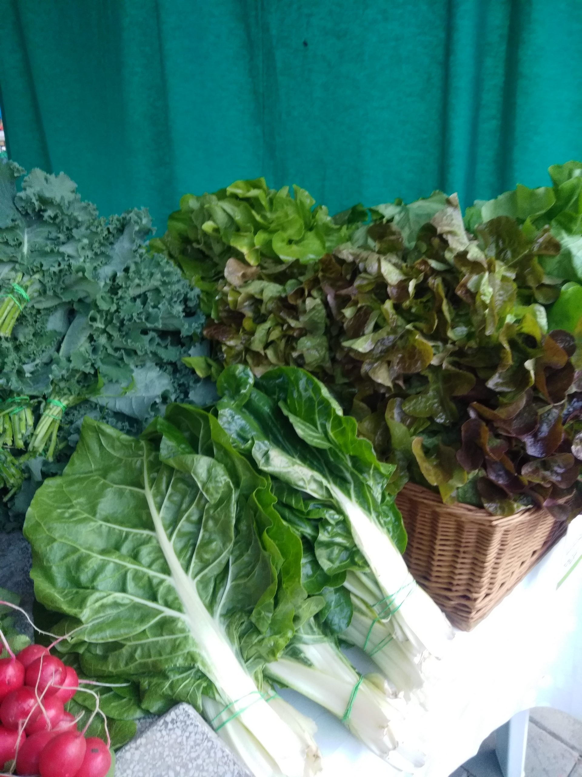 Organska proizvodnja i hrana u Srbiji, prirodna zaštita bilja | AGROmedia