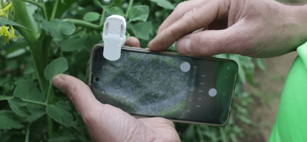Agromarket