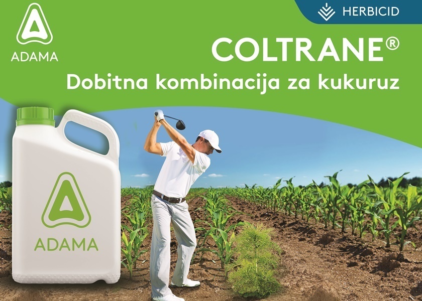 I najuporniji KOROVI u kukuruzu nestaju za samo JEDAN DAN - Evo kako ...