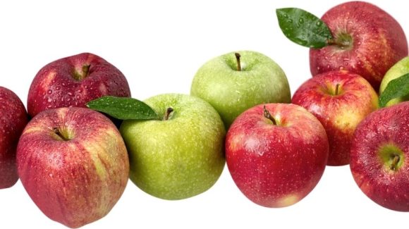 Koje su specifičnosti najpoznatijih sorti jabuka? | Agromedia