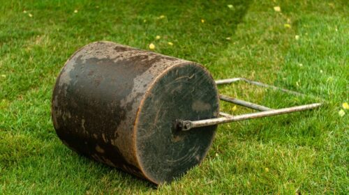 Valjanje travnjaka: šta je to i da li to treba da radite | Agromedia