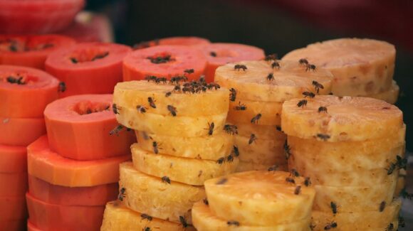 Zaštita od muva: Evo kako da se otarasite najezde u dvorištu! | Agromedia