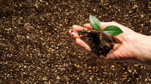 Šta je HUMUS i kako sprečiti njegov MANJAK u zemljištu? | Agromedia