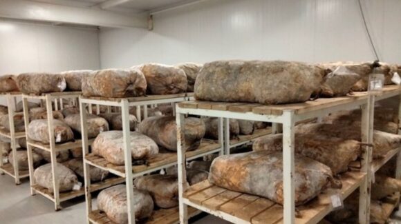 Mlekara "Pađeni": od bračnog para Vukoje iz Bileće na stolove Evrope ...