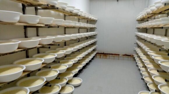 Mlekara "Pađeni": od bračnog para Vukoje iz Bileće na stolove Evrope ...