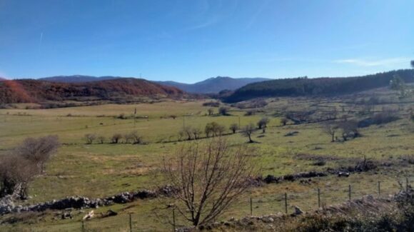 Mlekara "Pađeni": od bračnog para Vukoje iz Bileće na stolove Evrope ...