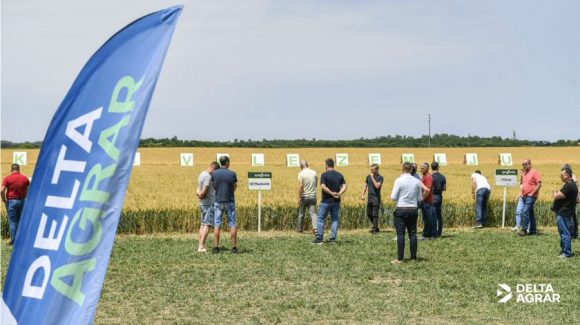 „Dan polja“ u Somboru: stabilne sorte i vrhunska dorada u fokusu Delta ...